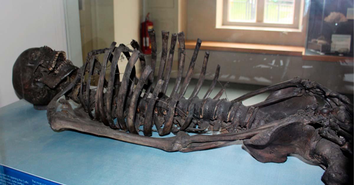 The Gristhorpe Man: A Bronze Age Skeleton with a Story to Tell ...