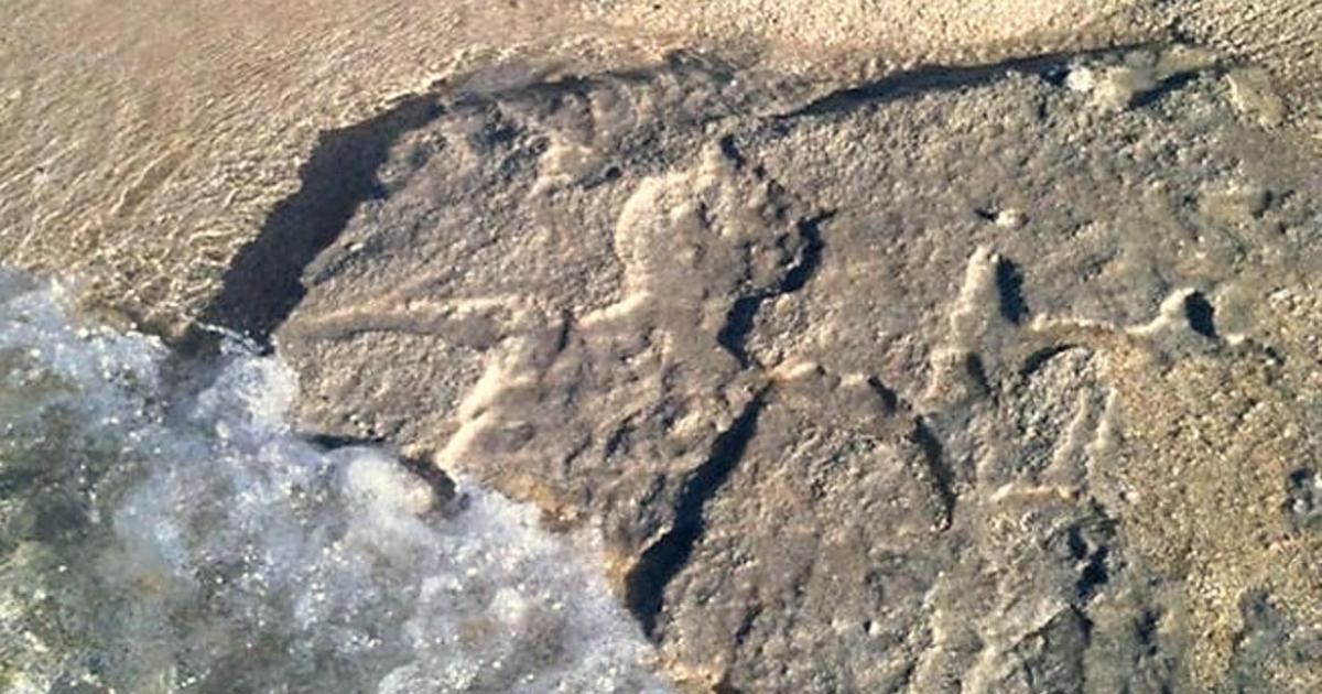 Huge Waves Provide Rare Glimpse of Hawaiian Petroglyphs | Ancient Origins
