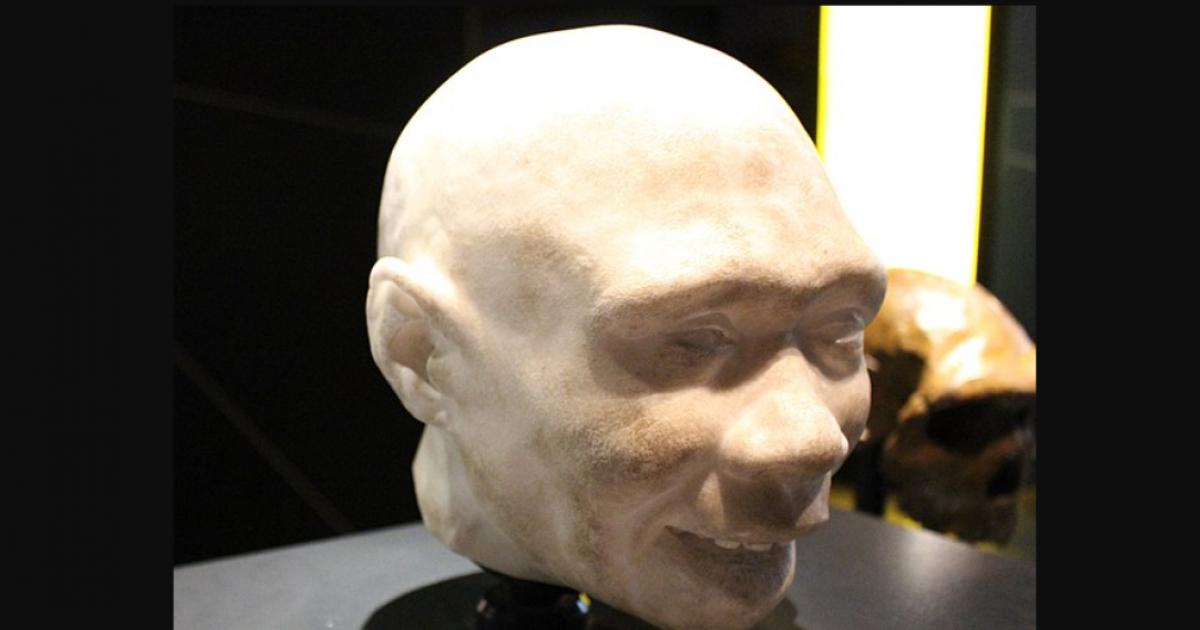 Did Homo Antecessor Cause Its Own Destruction? (Video) | Ancient Origins