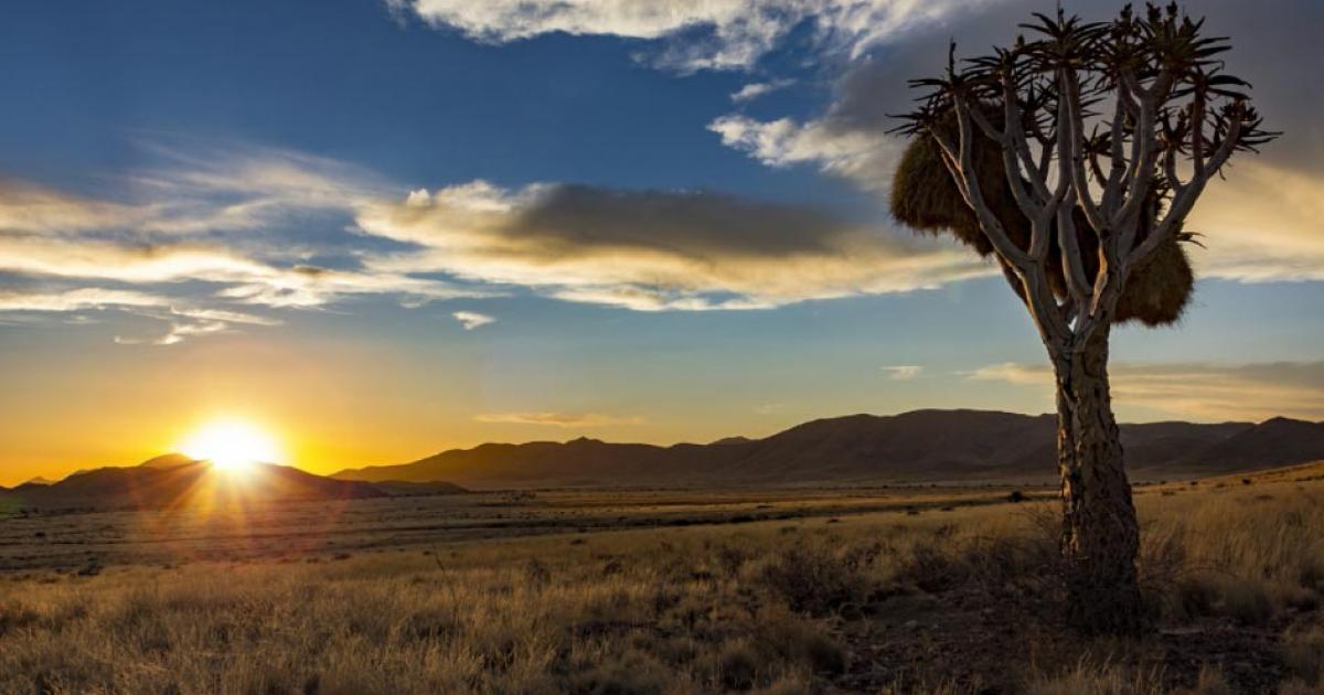 New Findings Change the Theories of Human Origins | Ancient Origins