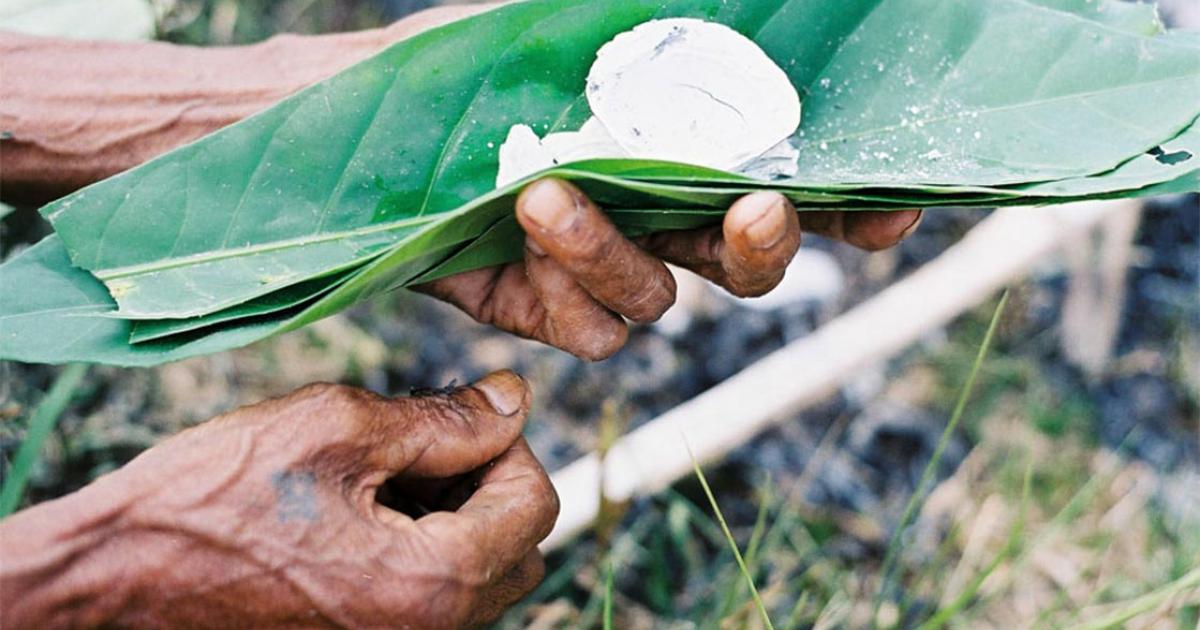 Cooperation Between Hunter-gatherers Accelerated Human Evolution ...