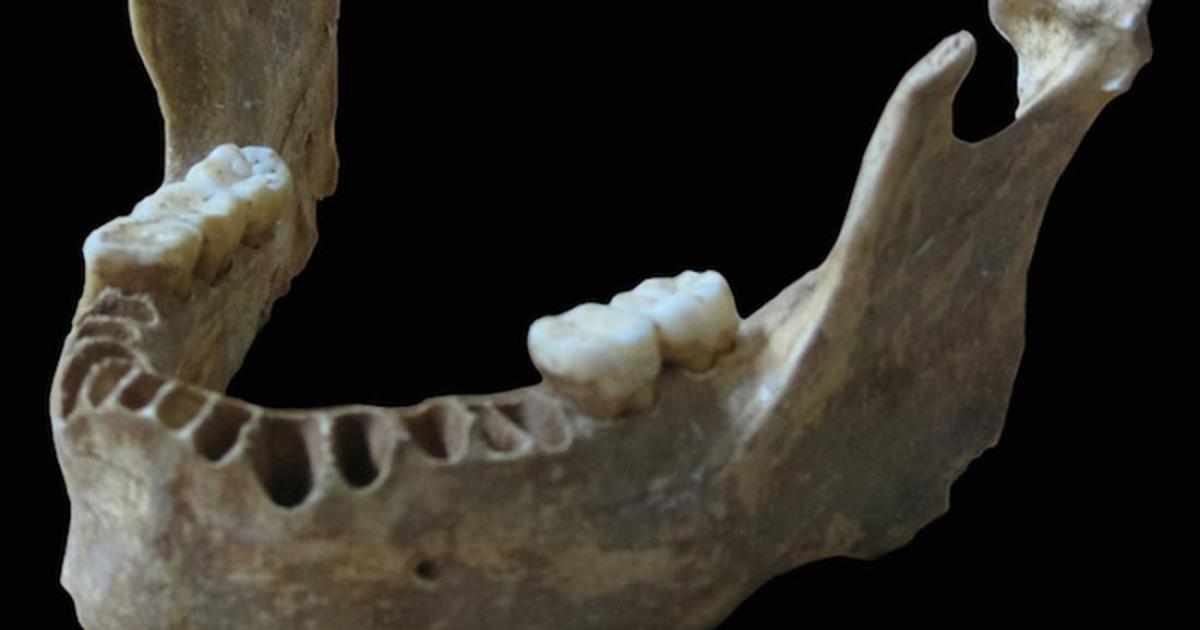 Jawbone shows Modern Human 40,000 years ago had Neanderthal Great-Great ...
