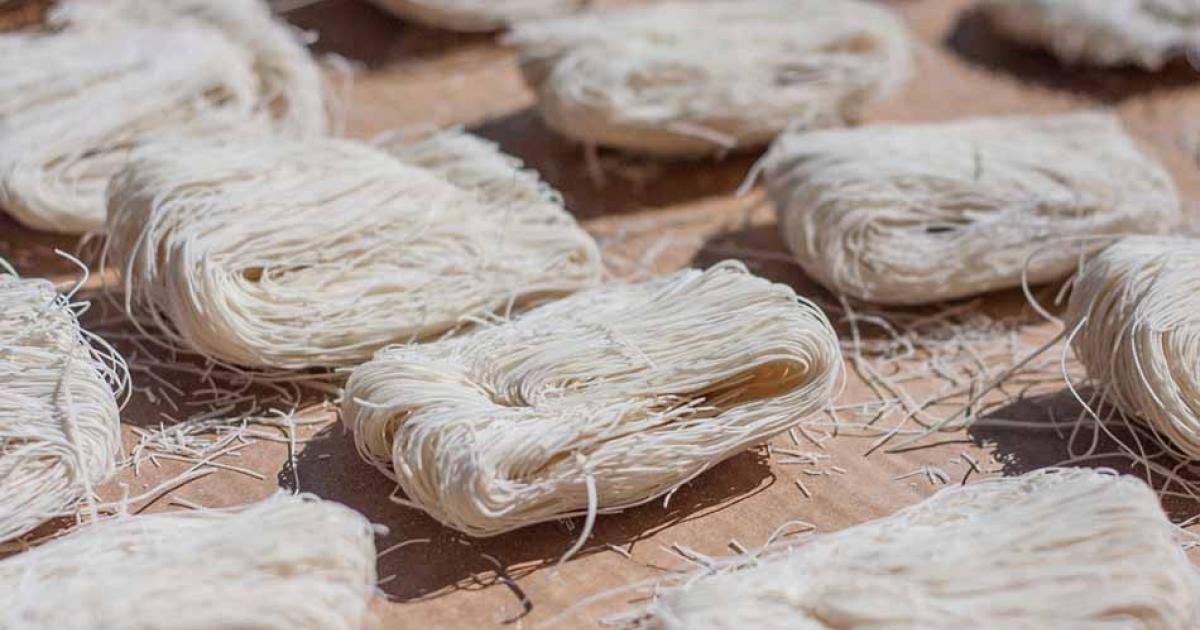 Lajia Noodles: Unraveling the Enigma of the World's Oldest Culinary ...