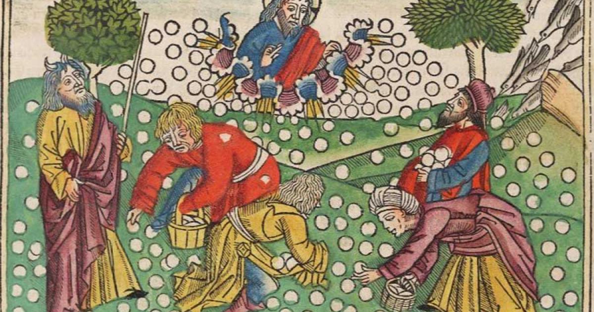 Manna: What Was the Mysterious Substance that Fed the Israelites for 40 ...