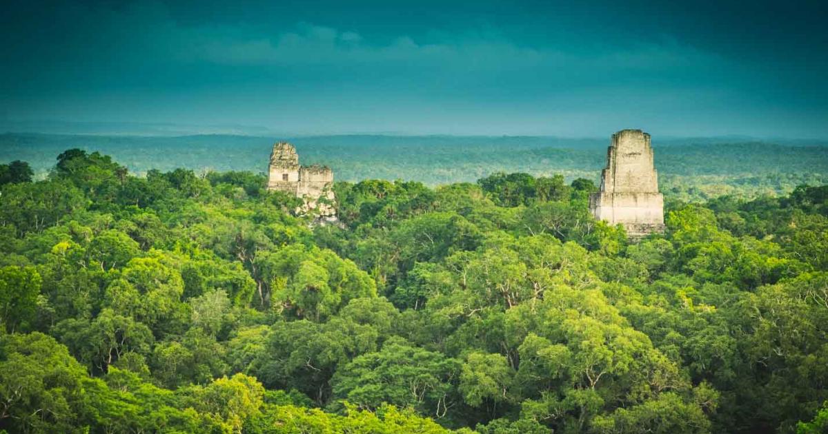 Maya Cities Had Unique Neotropical Forest Parks Says New Study ...