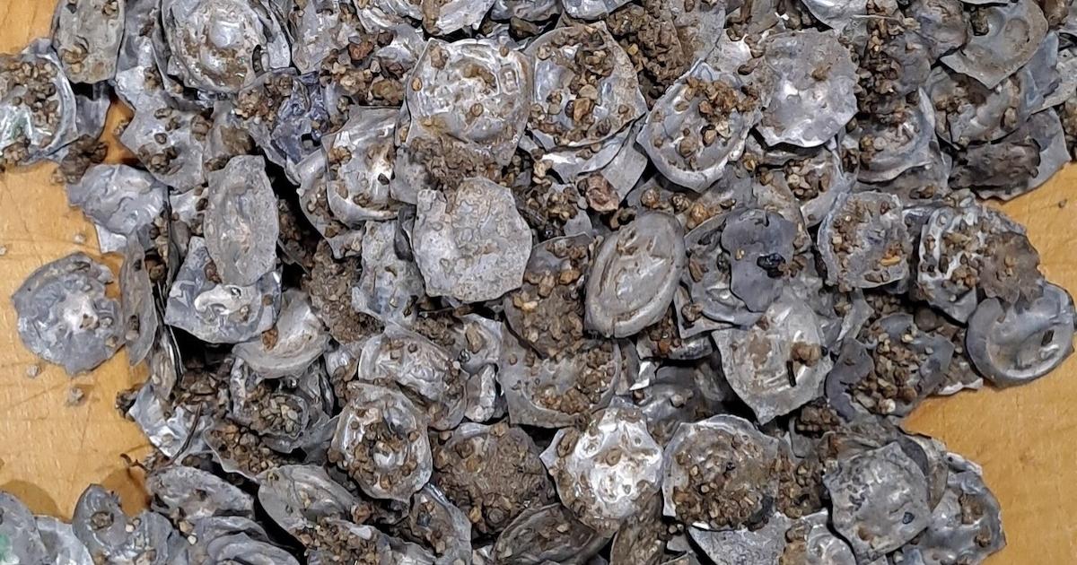 Medieval Coin Treasure Unearthed in Glottertal: A Glimpse into the 14th ...