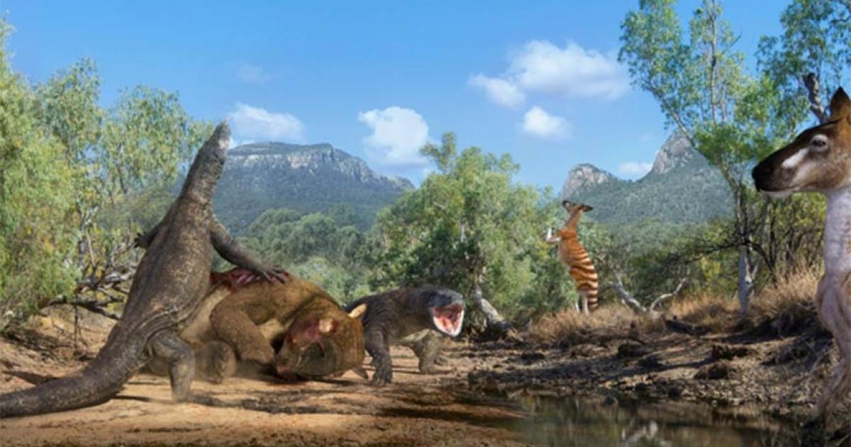 Humans Coexisted with Giant Lizards and Mega Marsupials in Australia ...