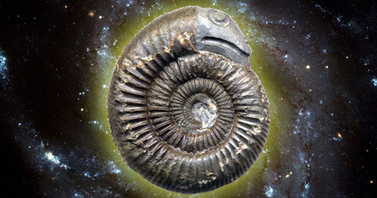 The Story of the Midgard Serpent: A Mythological Tailspin | Ancient Origins