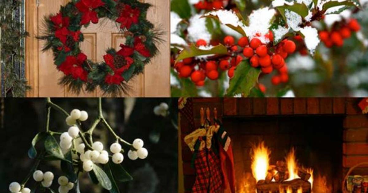 Mistletoe, Holly, and Yuletide Cheer: Weaving Nature into Ancient ...