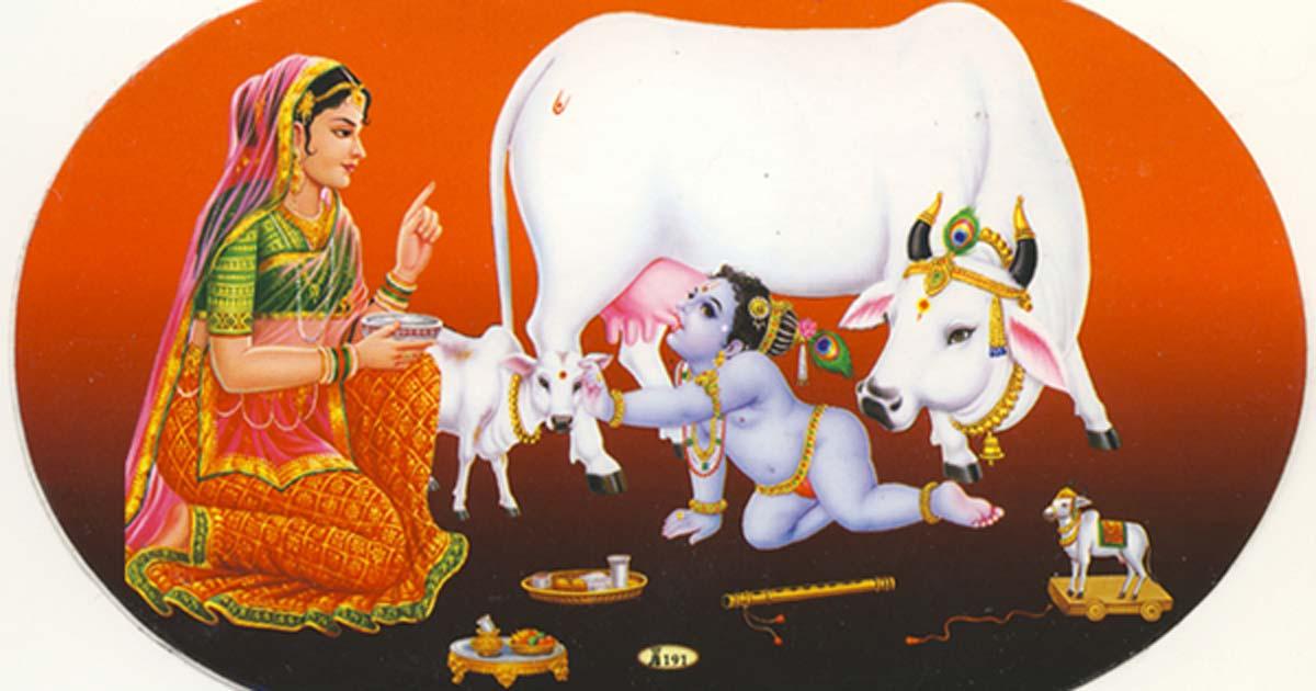 Modern Hindus Forbidden From Eating Beef But Ancient Hindus Ate the ...