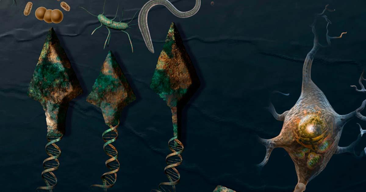 Ancient DNA Reveals Reason for High Multiple Sclerosis Rates in Europe ...