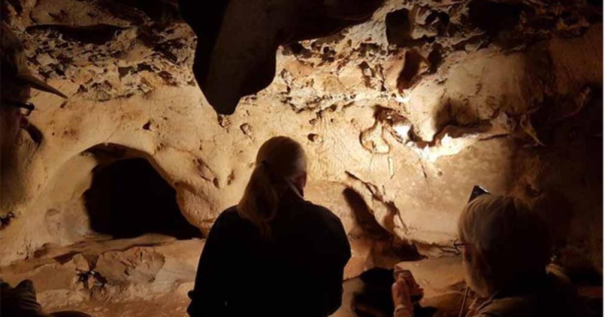 Study Finds Oldest Ever Neanderthal Cave Engravings, Destroying ...