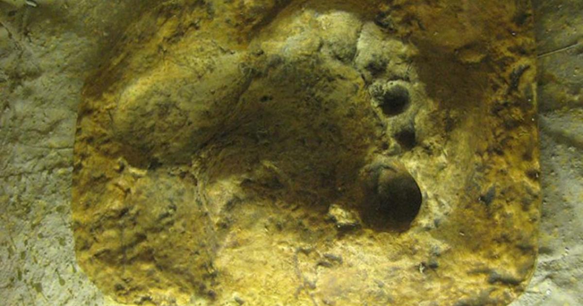 Young Neanderthal Footprint Found in Gibraltar is Only the Second ...