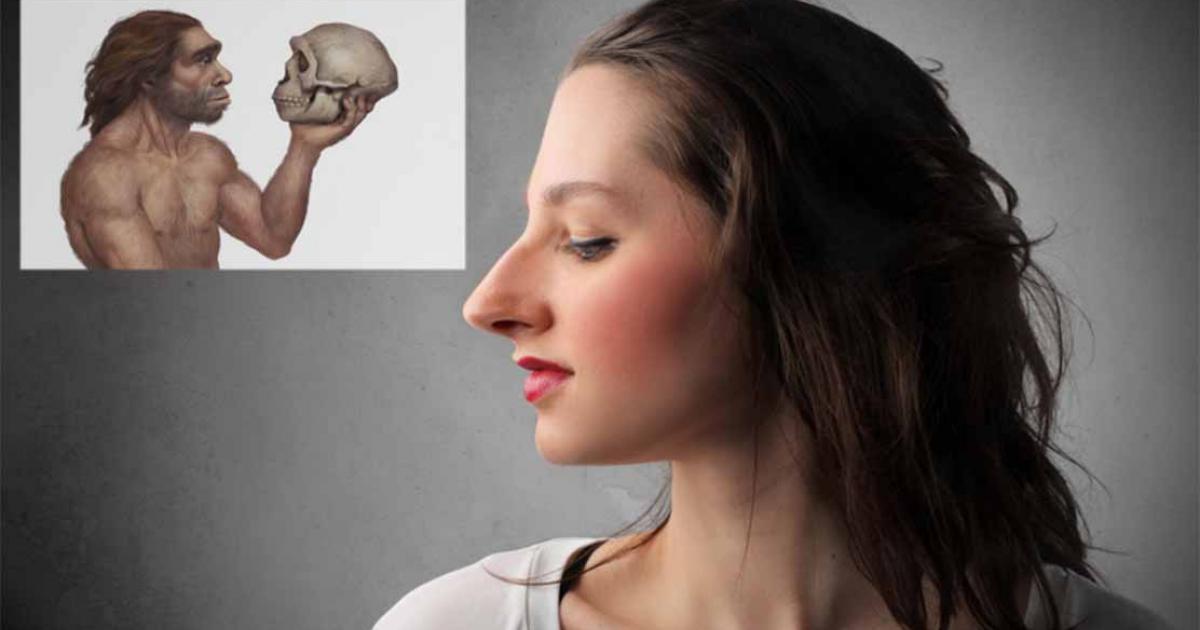Long and Broad Noses on Modern Humans Were Inherited From Neanderthals ...