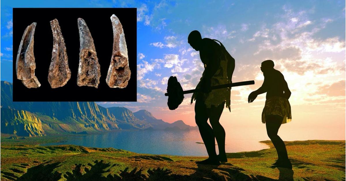 80,000 Years Ago Neanderthals Supercharged Their Brains On Acid ...