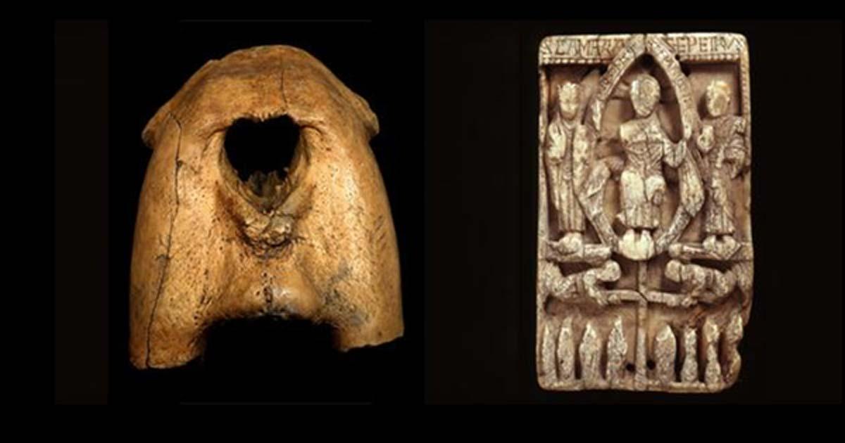Lost Norse of Greenland Fueled the Medieval Ivory Trade, Ancient Walrus ...