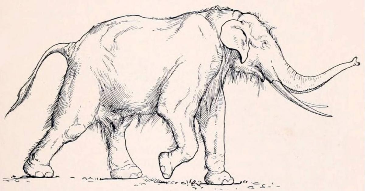 New study finds ancient humans butchered elephants with stone tools ...