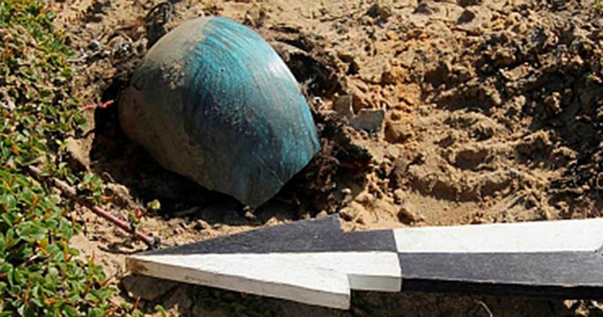 1,000-Year-Old Persian Cup Unearthed in Remote Region of Arctic Russia ...
