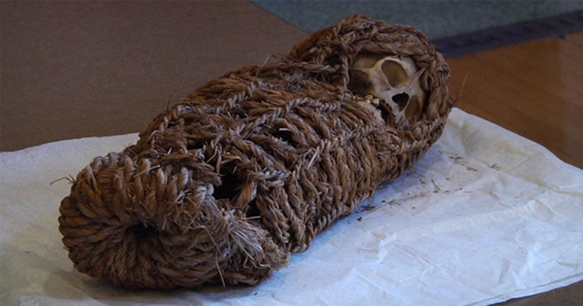 Peruvian Mummy Taken to Children’s Hospital for Revealing X-rays ...
