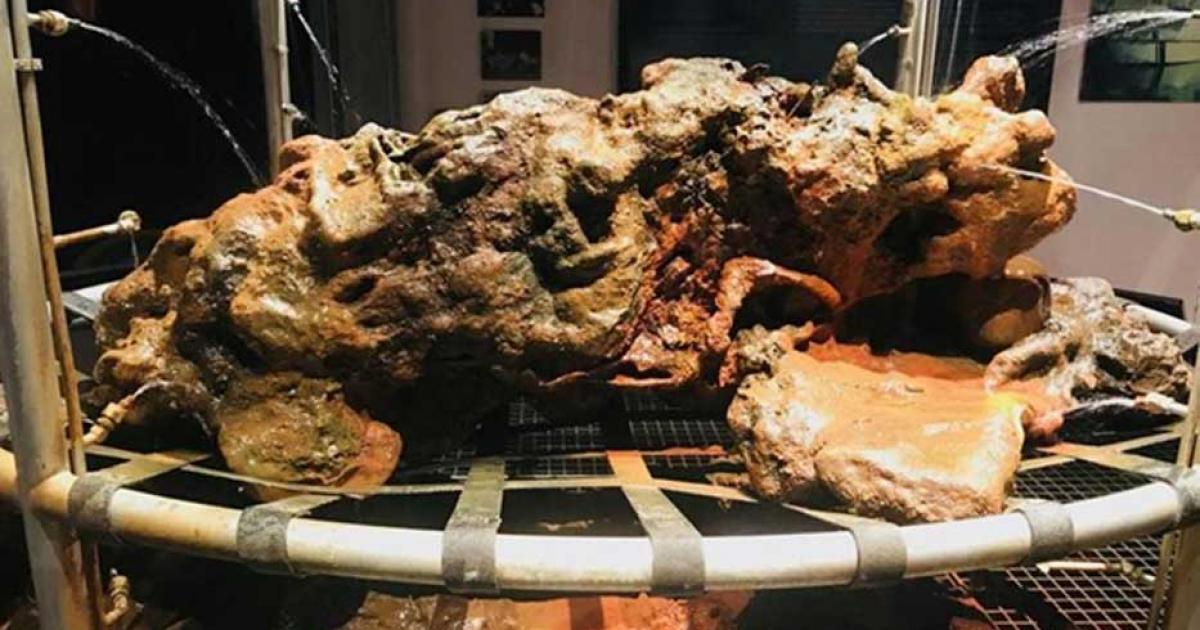 Pirate’s Crossed Bones Rise from Ghost Ship – Are They the Remains of ...