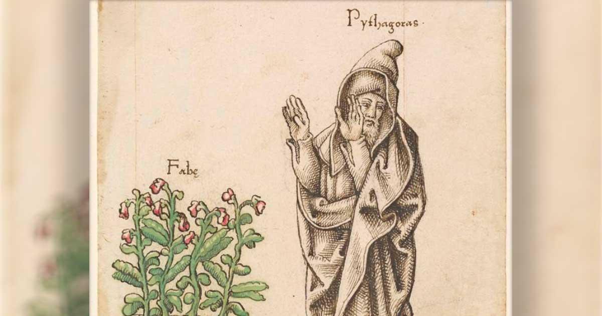Did Pythagoras’ Bizarre Fear of Fava Beans Contribute to his Death ...