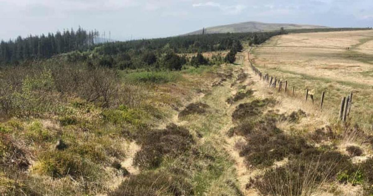 Stonehenge’s Bluestone Tracks Discovered Beneath Roman Road | Ancient ...