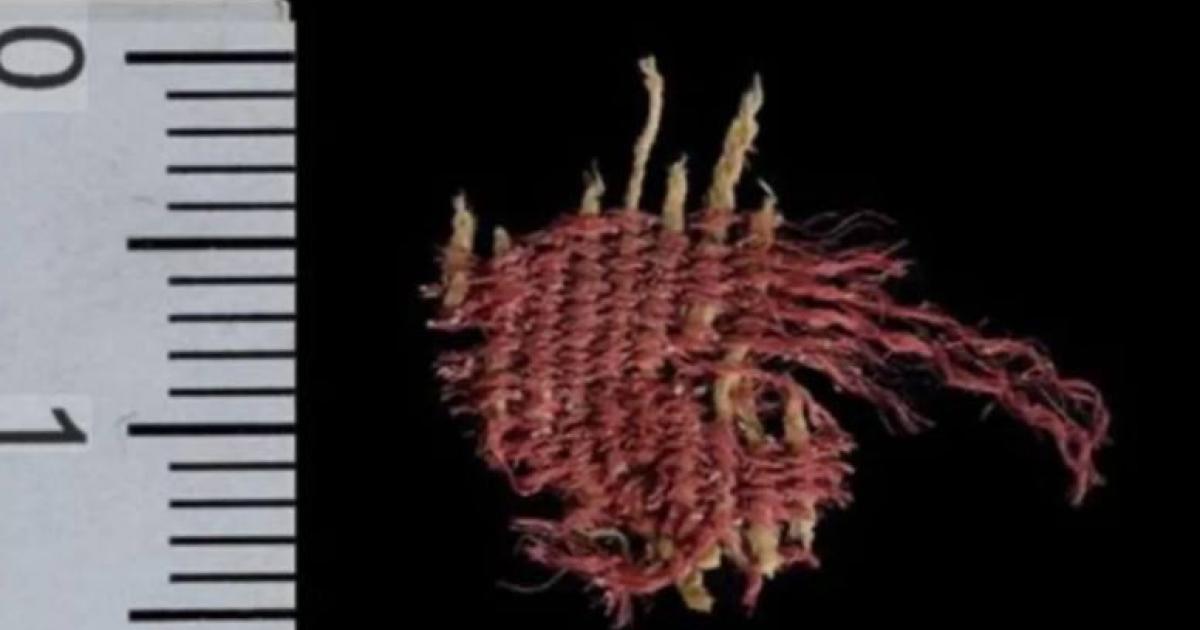 4000-Year-Old Fabric from Cave of Skulls is Oldest Known Insect-Dyed ...