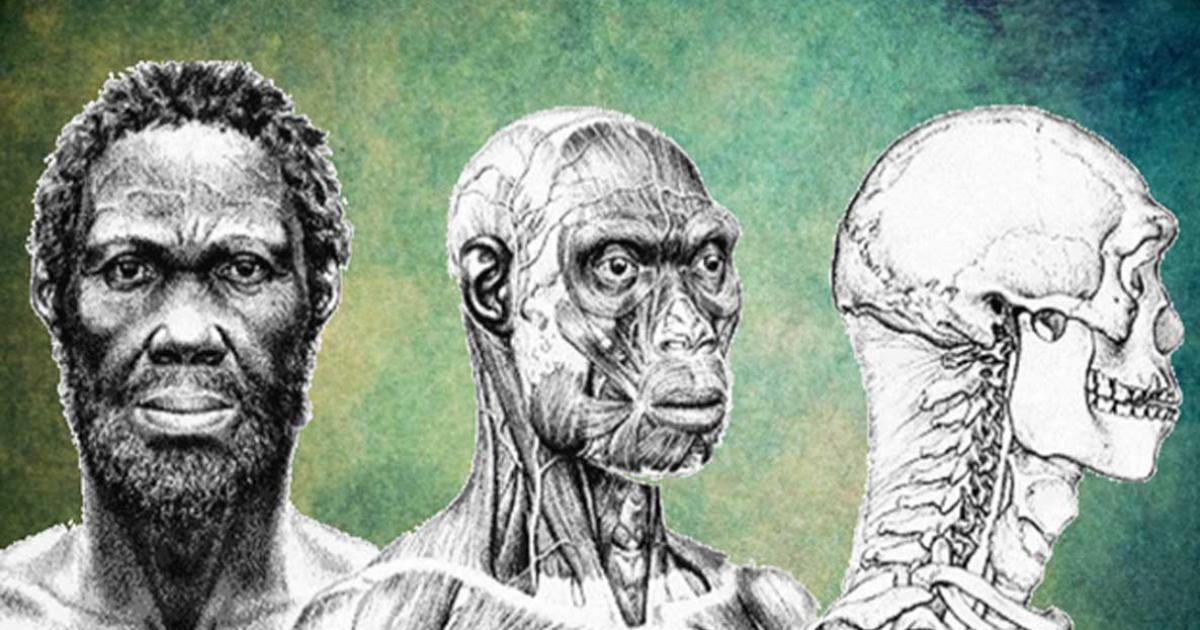 A Serendipitous Skull Discovery in Ethiopia: Is This the Oldest Known ...