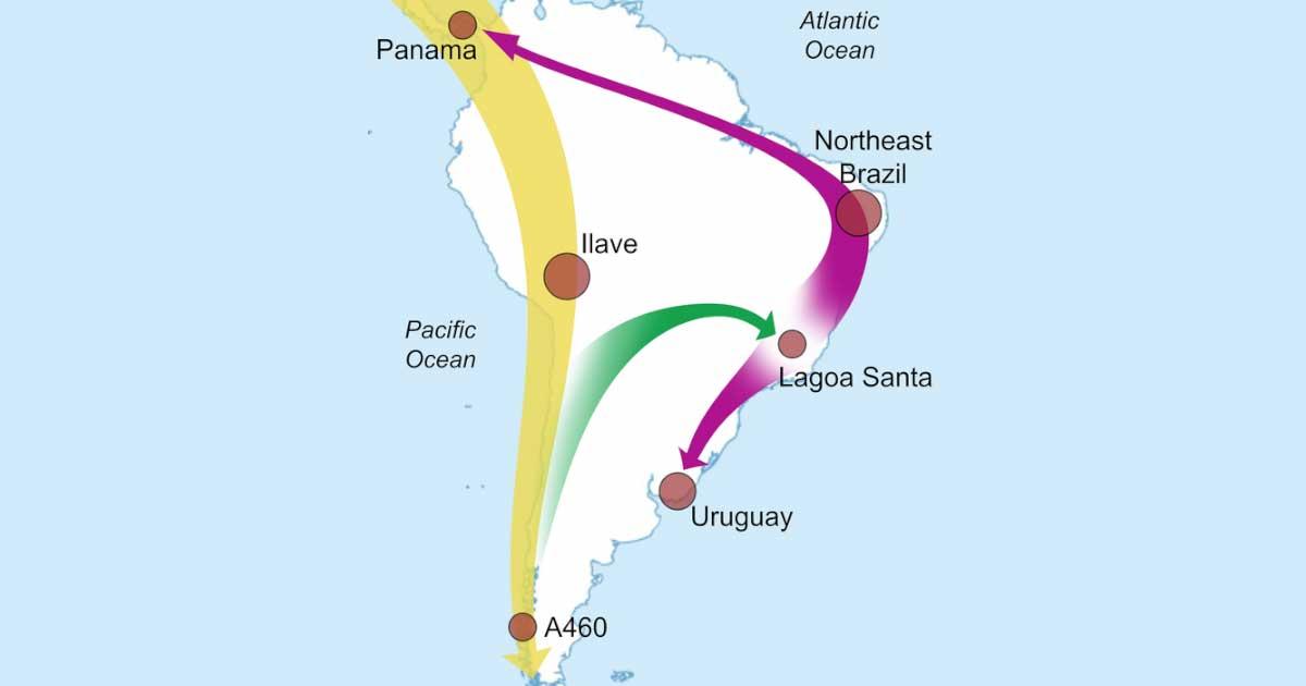 DNA Analysis Reveals Surprising South American Migration Patterns ...