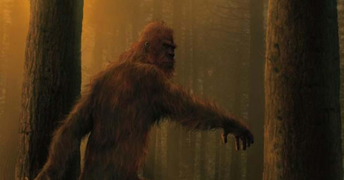The Oldest Bigfoot Photo: A Cryptozoology Conspiracy? | Ancient Origins