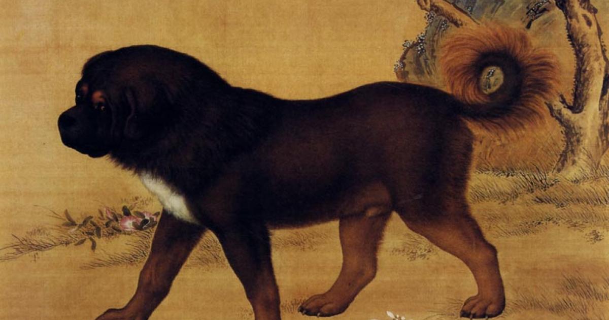 A Loyal Companion and Much More: Dogs in Ancient China | Ancient Origins
