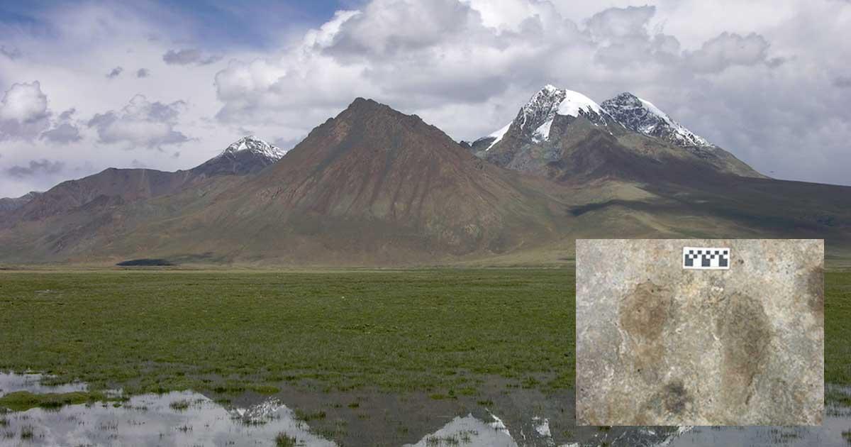 Humans Occupied Tibetan Plateau Thousands of Years Earlier than ...
