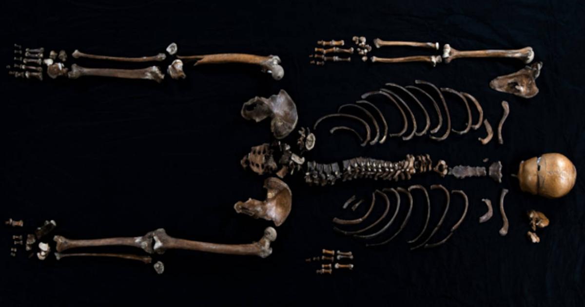 800-Year-Old Norse Saga Leads to Discovery of “Well-man” Skeleton ...