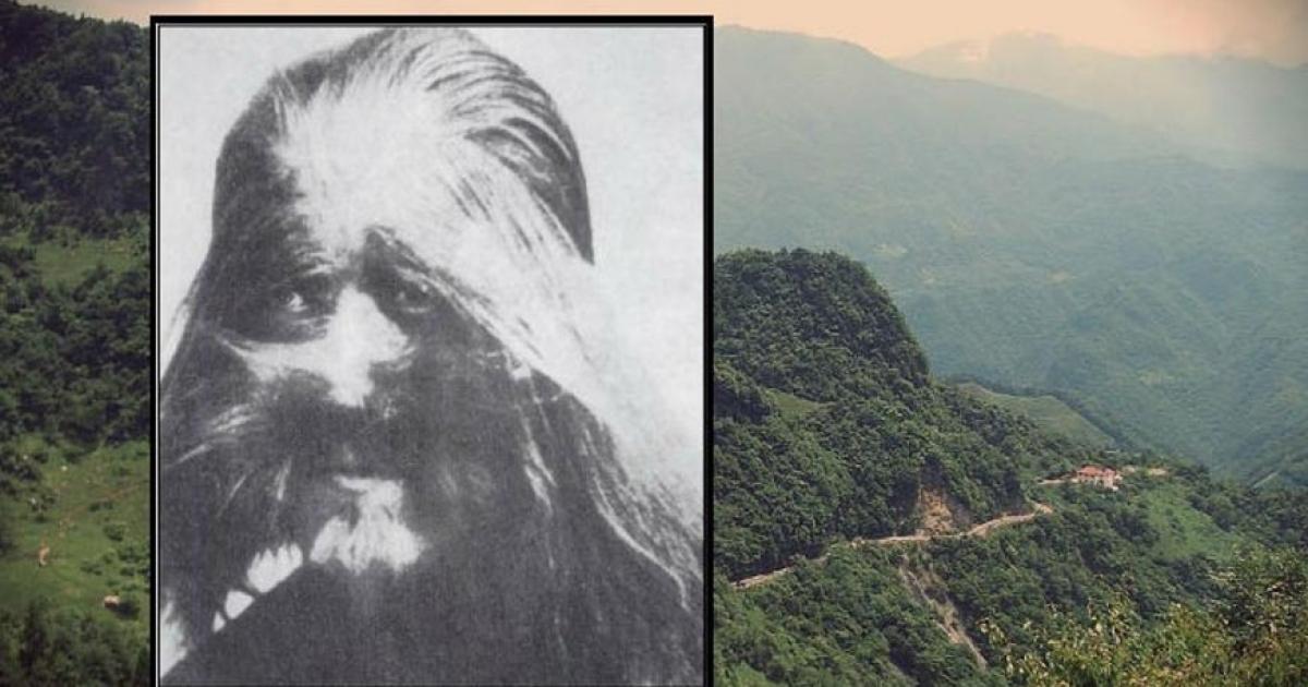 Wildman, Chinese Version of Bigfoot: Sightings, Scientific Tests ...