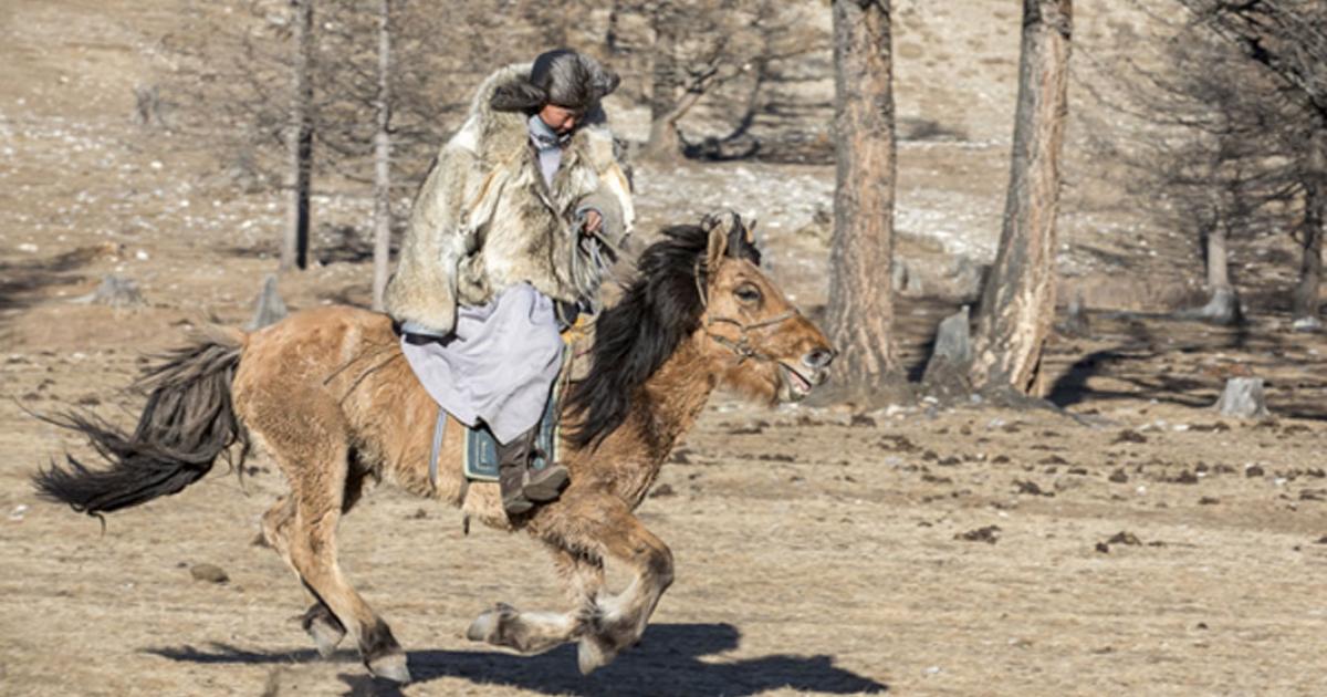 How A Handful of Yamnaya Culture Nomads Became the Fathers of Europe ...