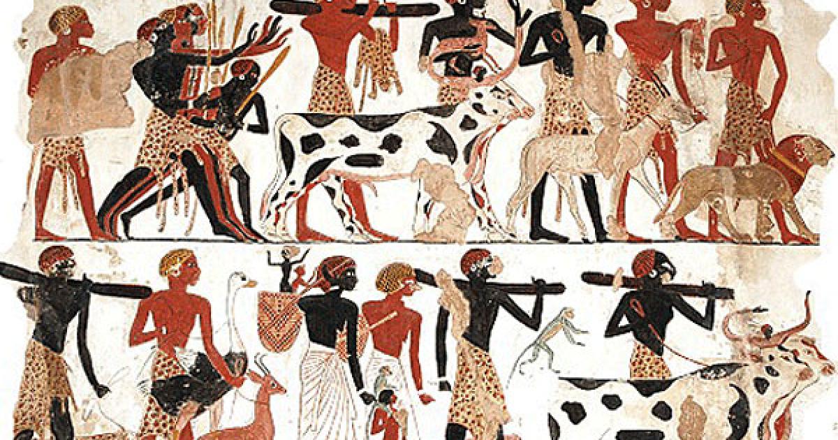 Questioning History: Agriculture older than what is believed | Ancient ...