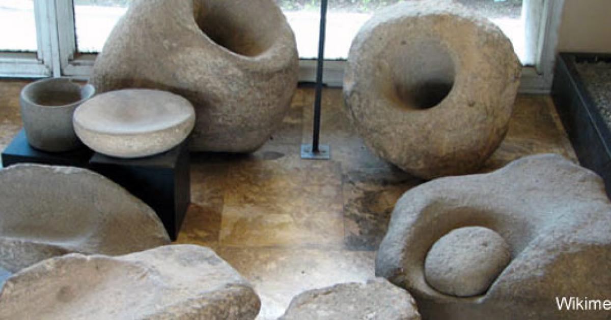 Beer was more important than bread for our Stone Age ancestors ...