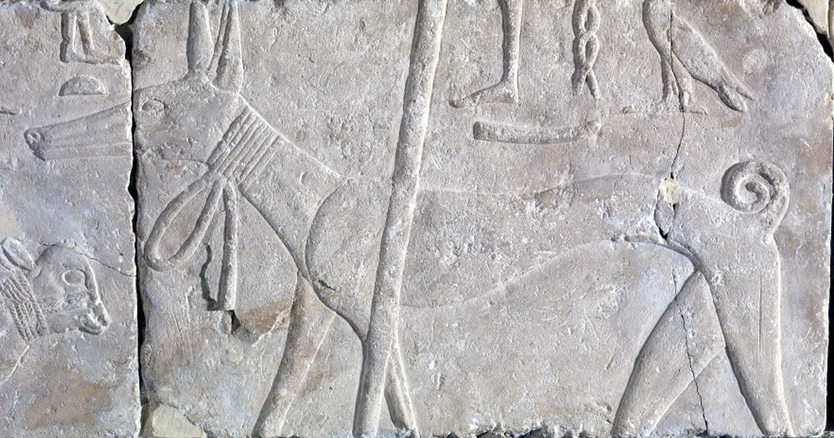 Dogs, Ancient and Modern: A Mythological History | Ancient Origins