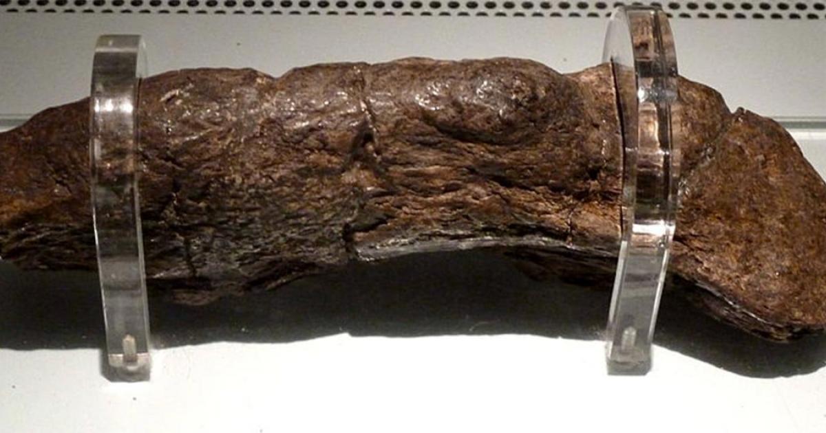 The Origin of Poop: AI to Predict Source of Ancient Feces | Ancient Origins