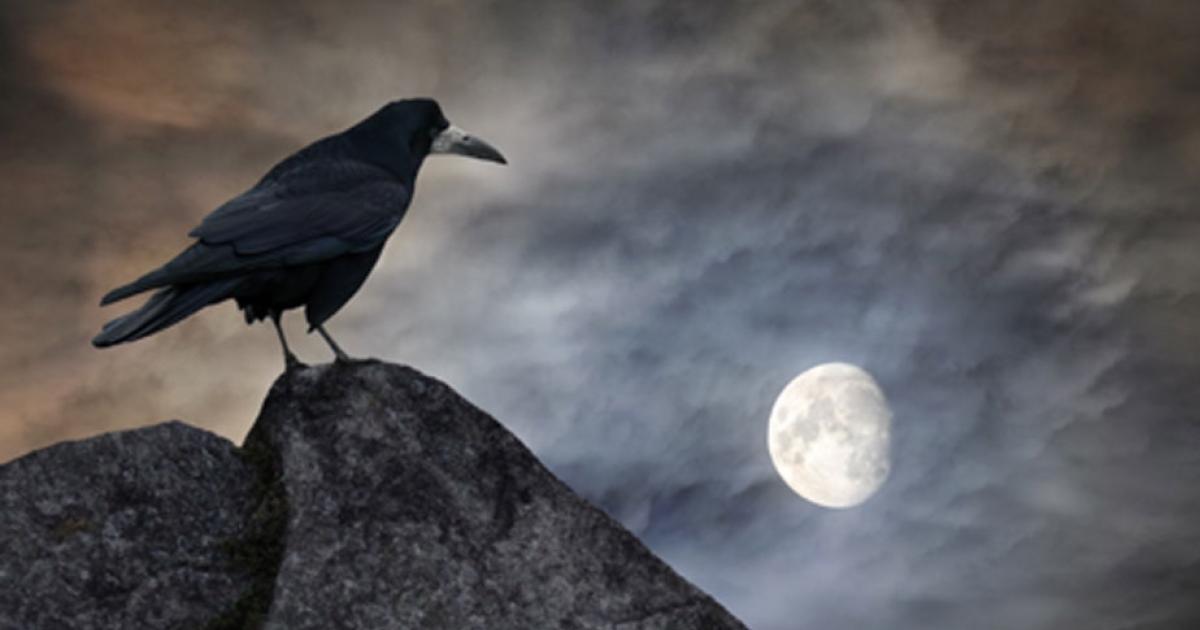 Birds in the Ancient World: Messengers of Omens and Auguries | Ancient ...