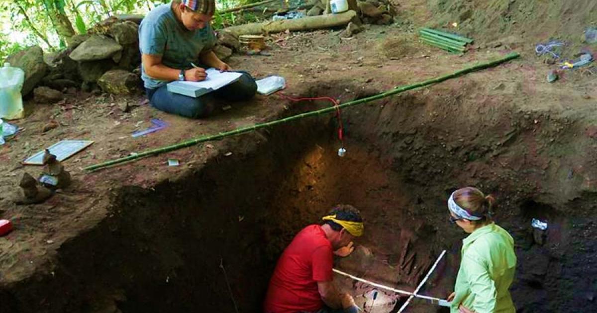 Maya Were Likely Taught to Grow Corn by Southern Migrants | Ancient Origins