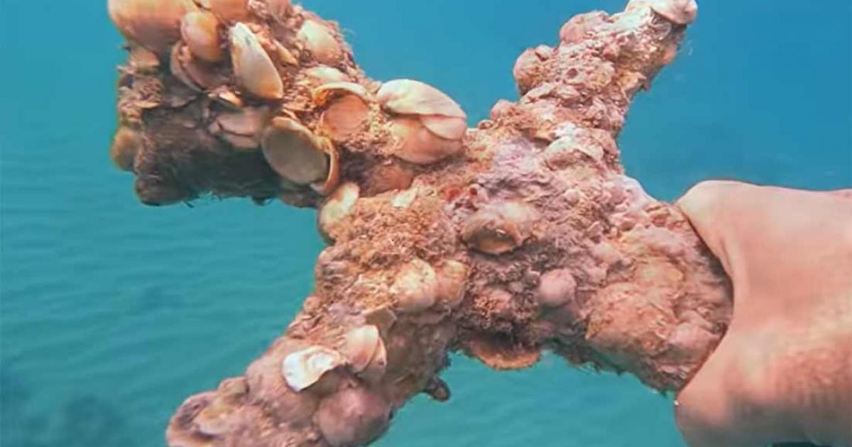 Diver Discovers 900-Year-Old Crusader Sword Off Coast of Israel ...