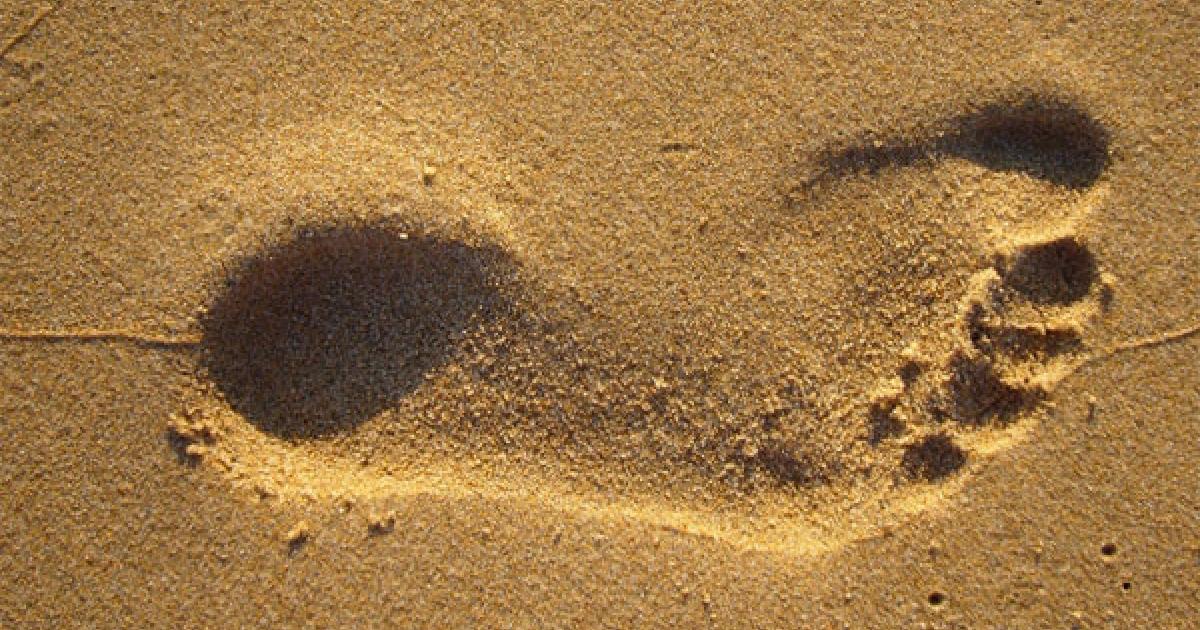 Early humans probably walked in a different way | Ancient Origins