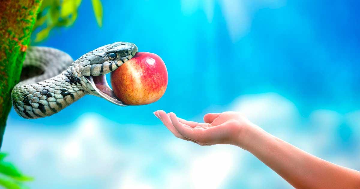 Was the “Forbidden Fruit” in the Garden of Eden Actually an Apple ...