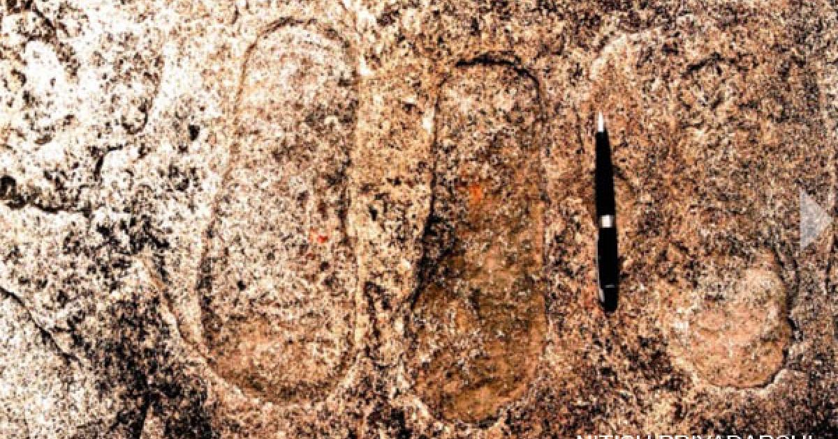 Giant Footprints in Rock Evidence of Ancient People from the Sky ...