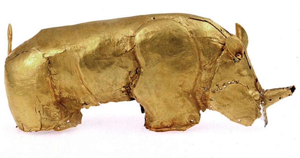 Meet the 800-Year-Old Golden Rhinoceros that Challenged Apartheid South ...