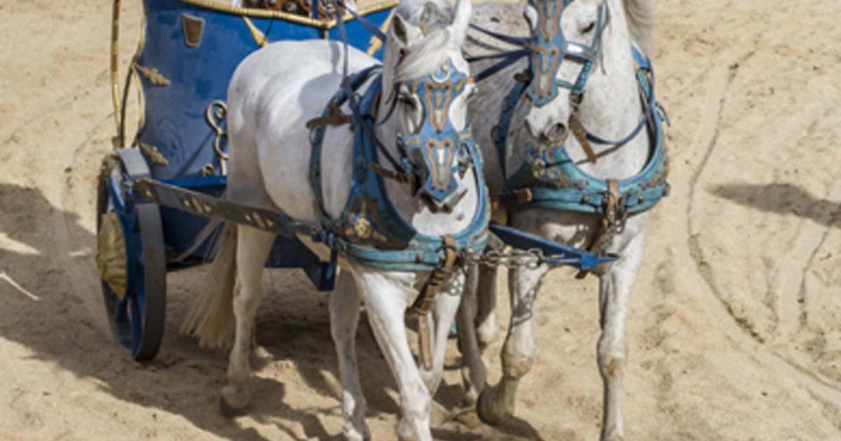 1800-Year-Old Horse and Chariot Burial Discovered in Croatia | Ancient ...