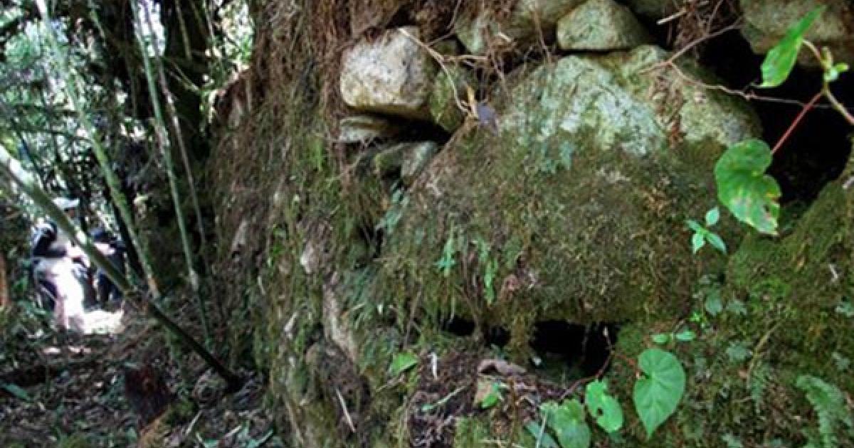 New section of Inca road leading to Machu Picchu discovered | Ancient ...