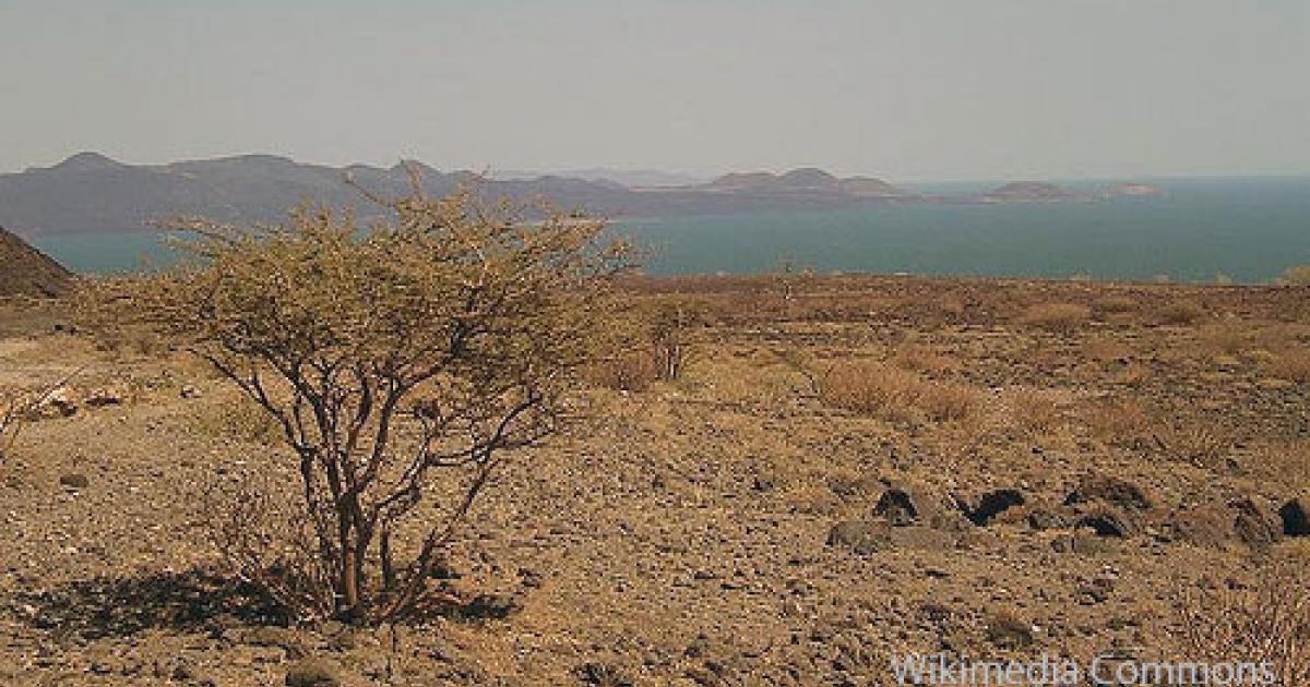 Early human fossils older than previously believed | Ancient Origins