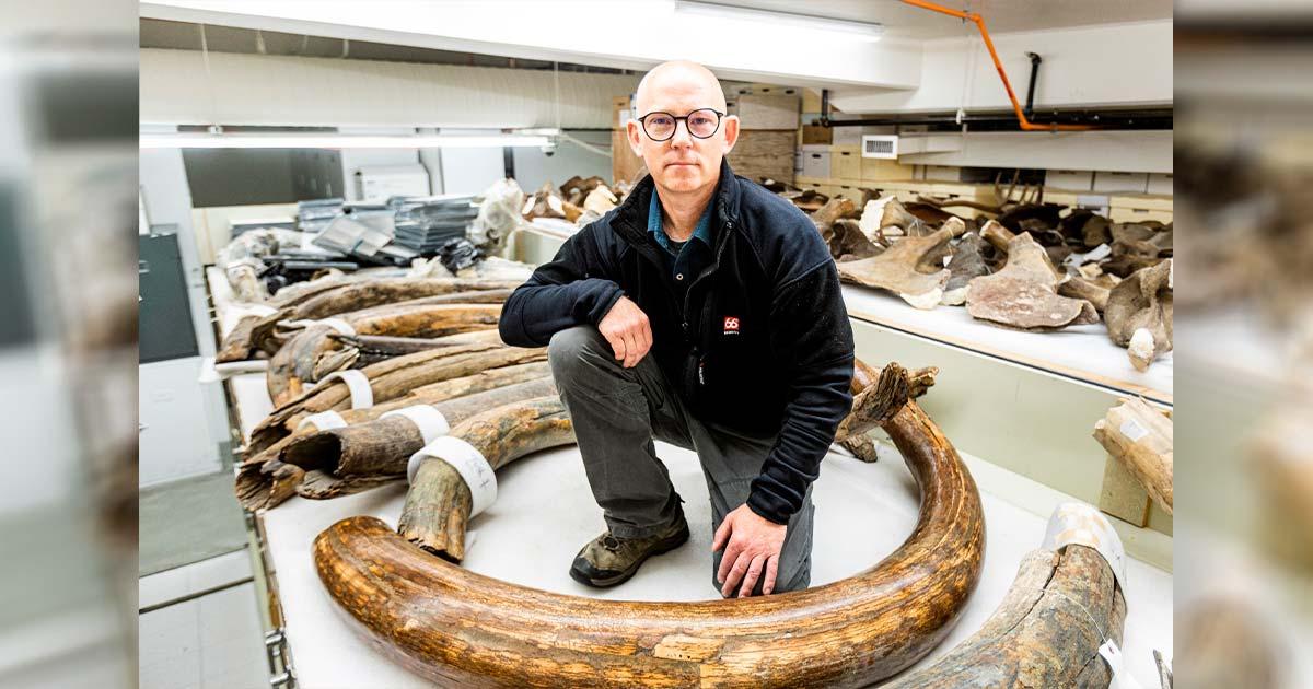 Tusk Records Woolly Mammoth’s 620-Mile Life Journey, and Alaska’s ...